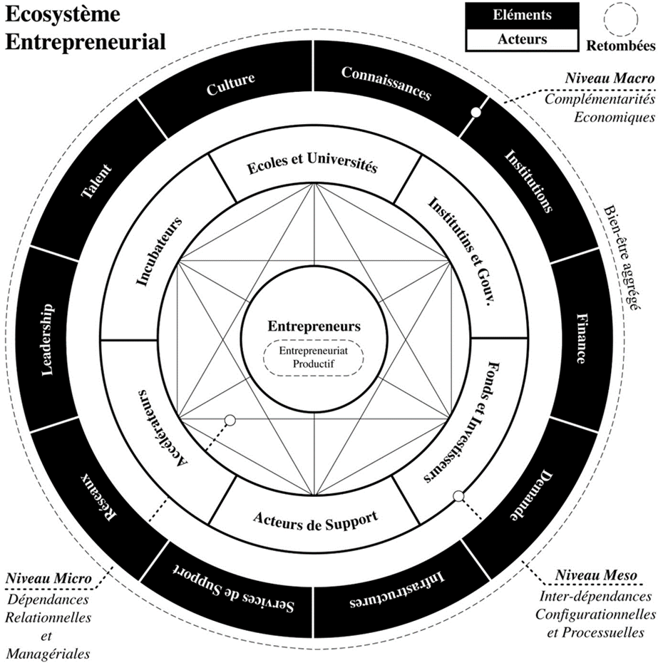 Notre écosystème - I lead consulting